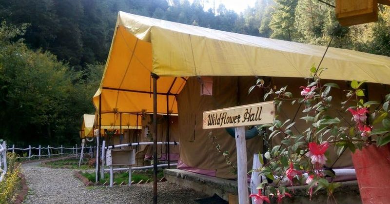 Offthecity- Camp Kyar in Shimla - book accommodation on HotelFriend