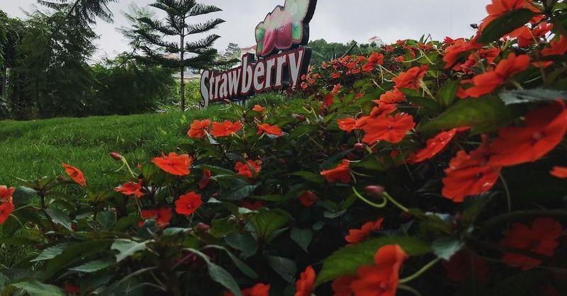 Dream Flower Hotel in Da Lat - reserve best-rated hotels on HotelFriend