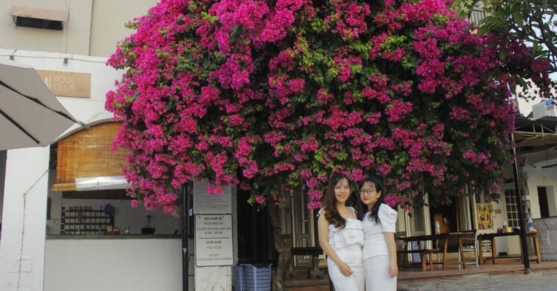 Cococha Hostel & Pool Bar (Adults only), Hoi An - hotel booking on HotelFriend