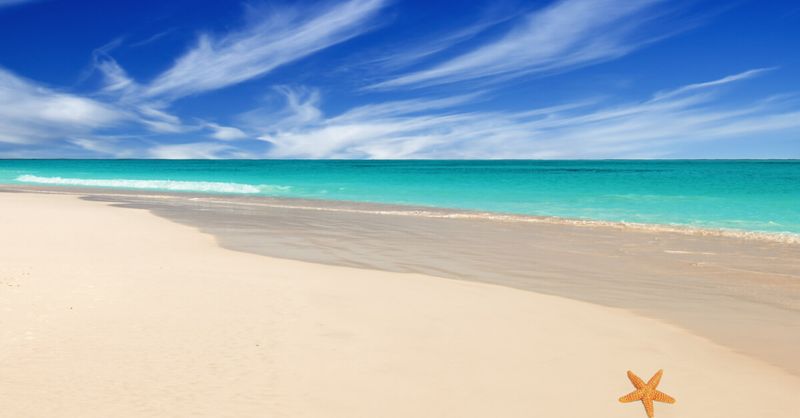 Pink Sands Beach, Harbour Island, Bahamas – photos, rooms, and prices ...